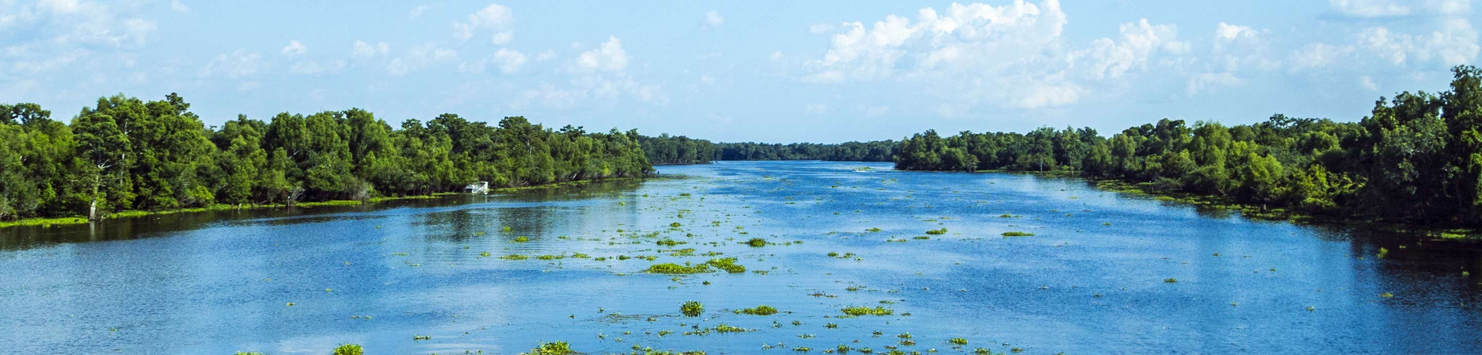 panther swamp advice | Mississippi Hunting and Fishing Forums