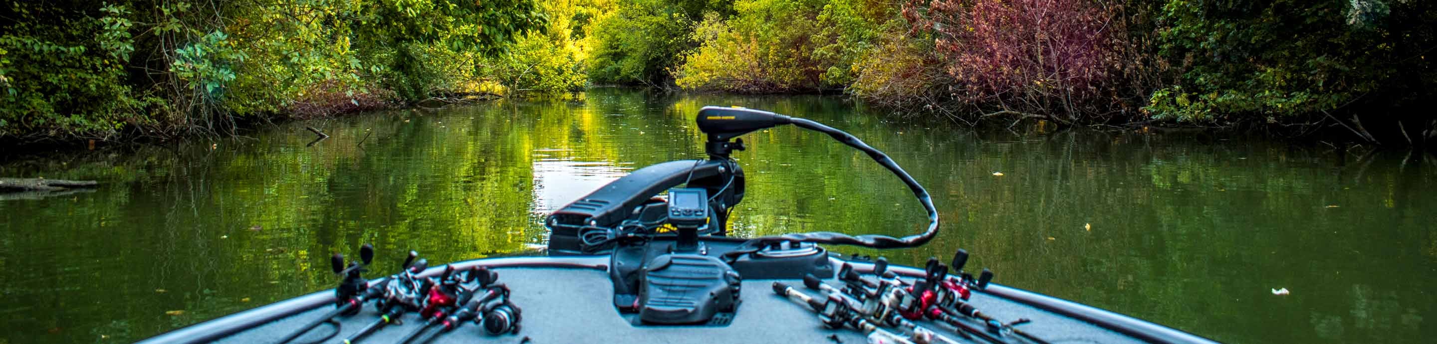 Hybrid/ Striper | East Tennessee Fishing Forums