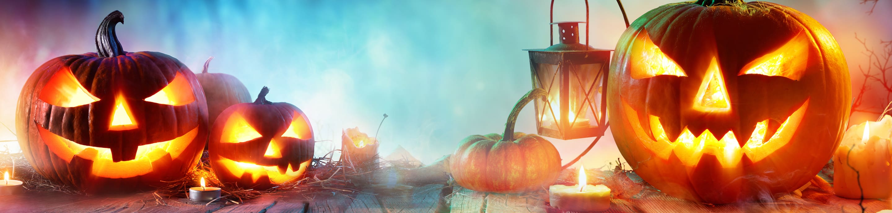 Lowe's 2022 | Page 18 | Halloween Forum