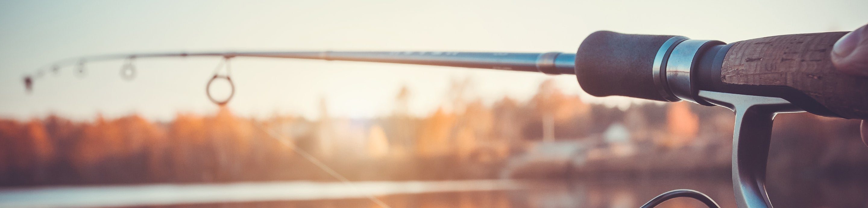 Birch point Jan 9/26 | Manitoba Fishing Forum