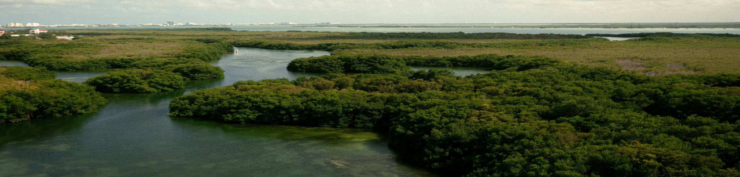 Microskiff Low Life Fishing Shirt - Order Info | Dedicated To The ...