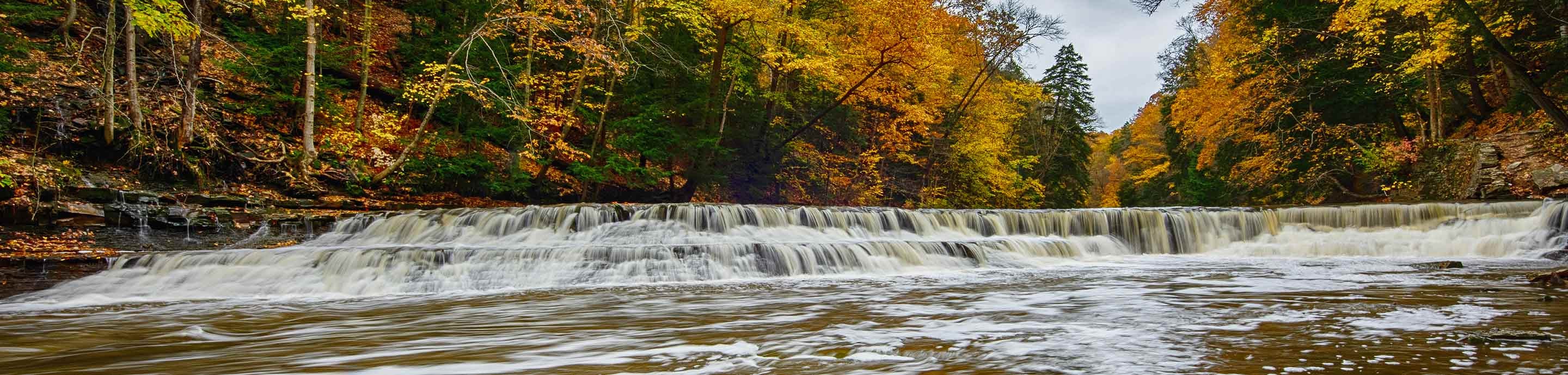 Since Black Bears are being seen more in Ohio | Page 5 | Ohio Sportsman ...