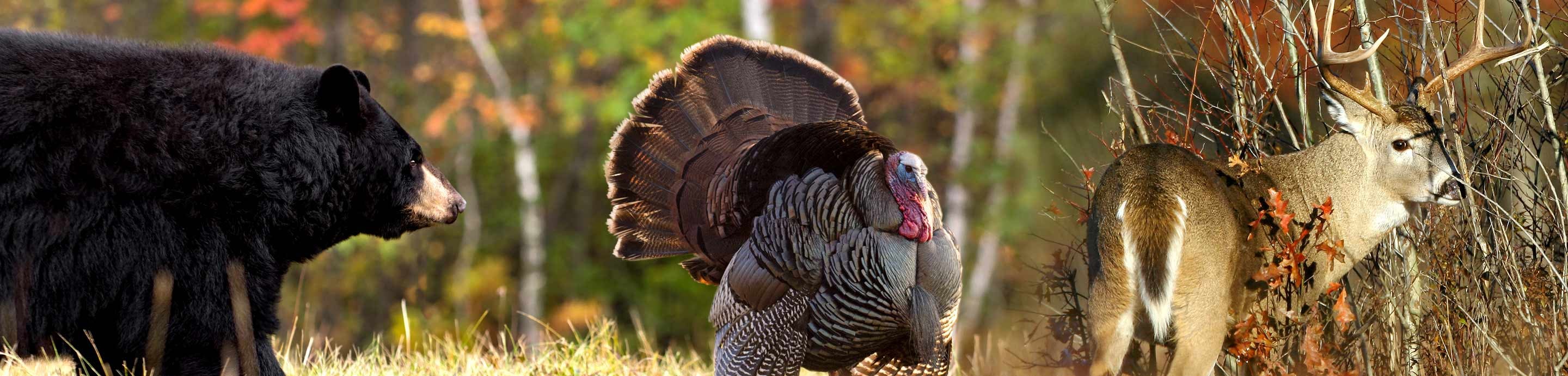 Oklahoma Hunting Forum