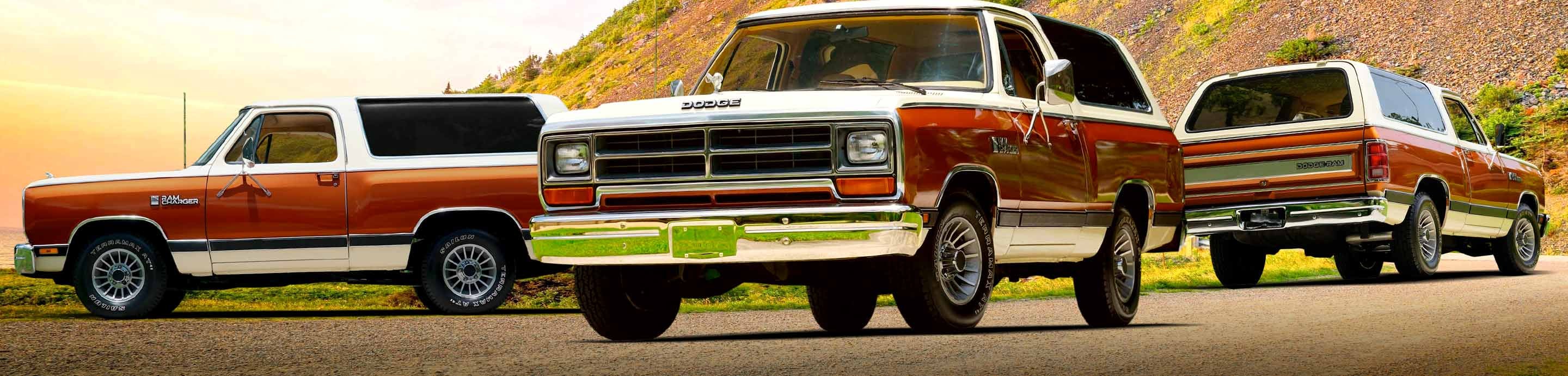 ...VE44 injection pump general info... | Dodge RamCharger Central
