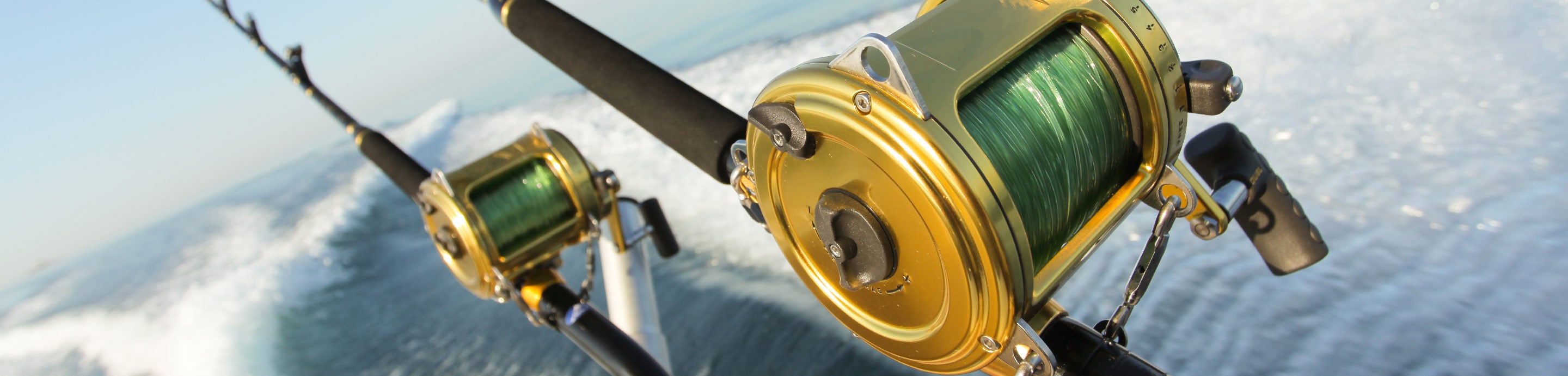 large fish handling | World Sea Fishing Forums