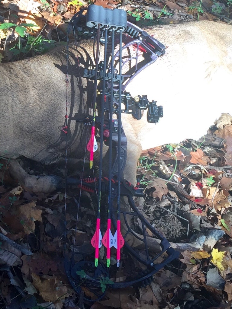 Favorite fletching color combos | Archery Talk Forum