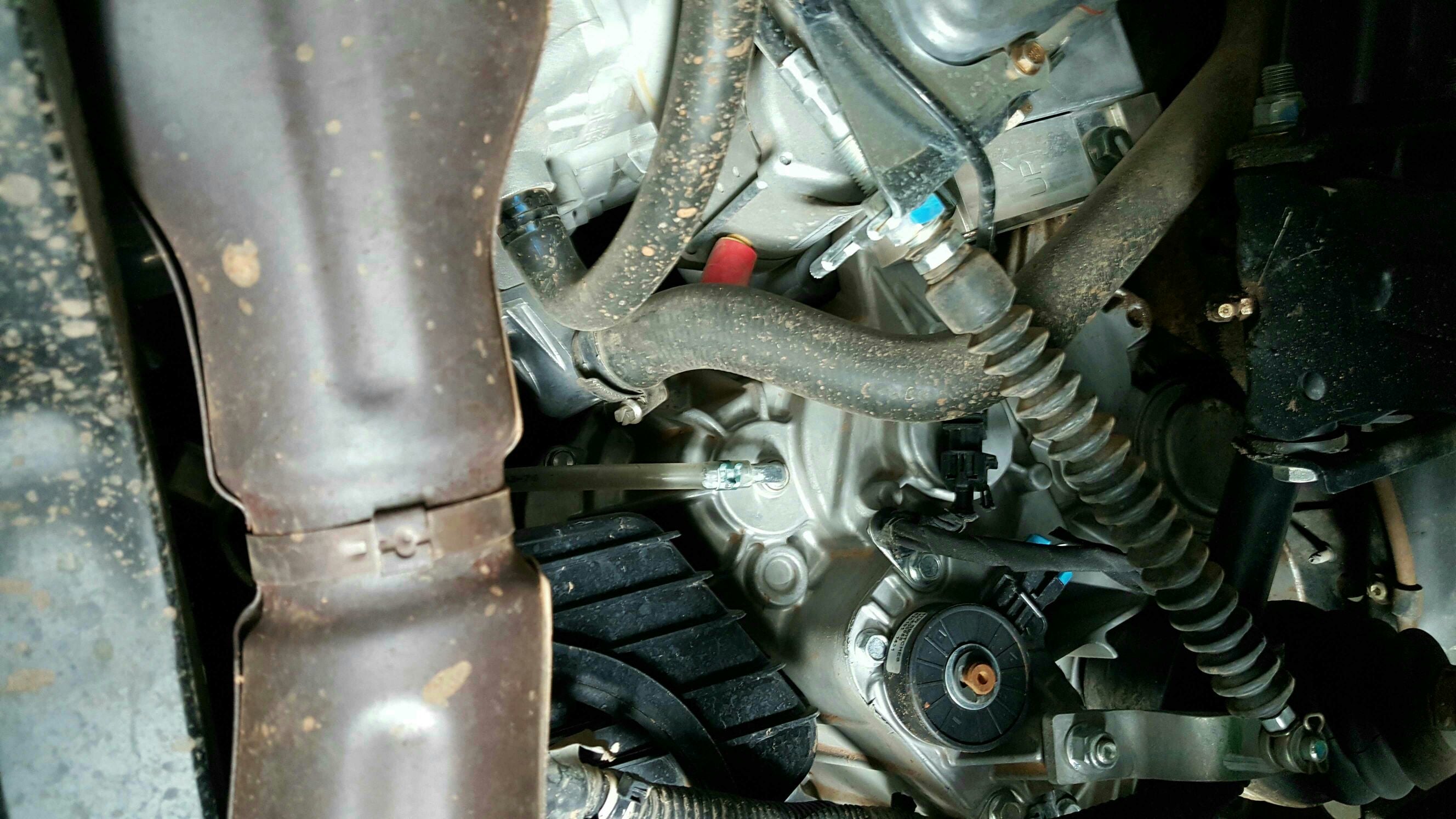 Rear diff vent line | Polaris RZR Forum - RZR Forums.net