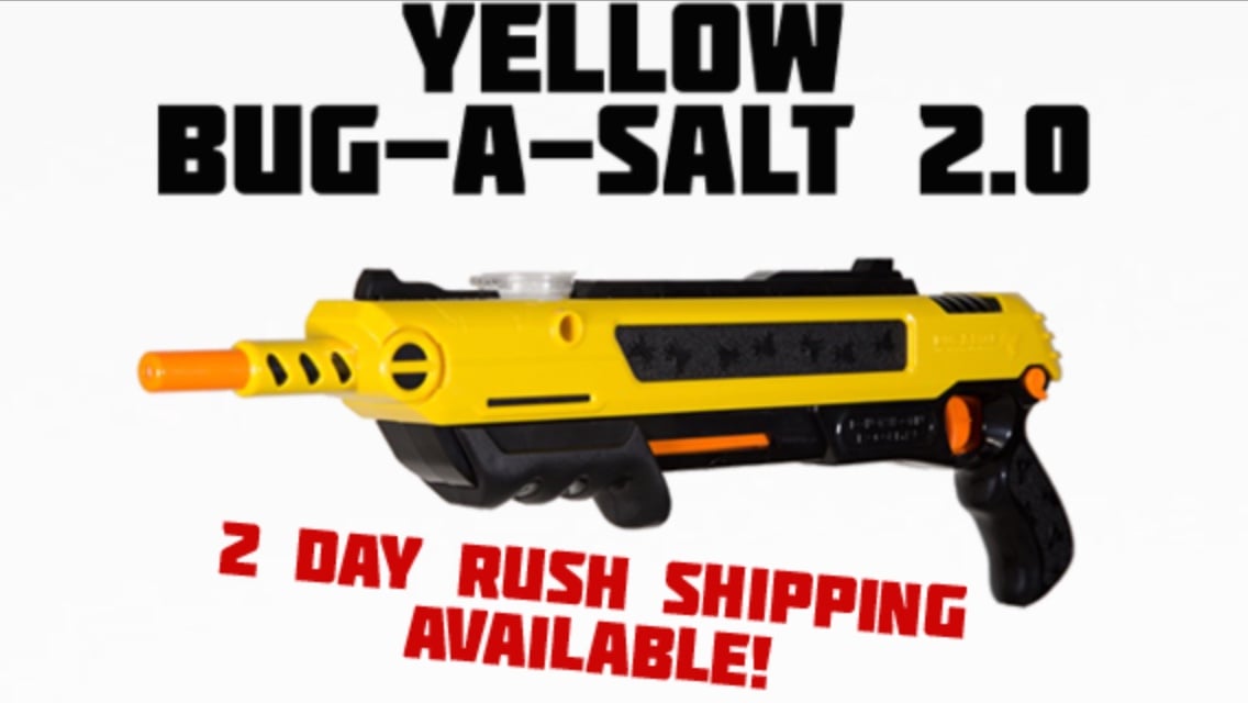 SALT gun? | Defensive Carry