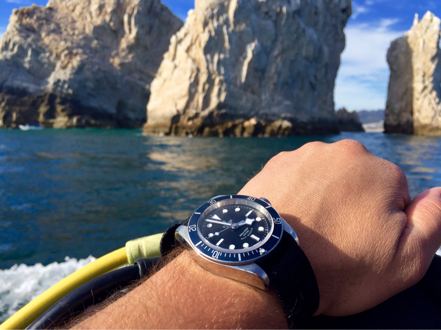 You're going in a one week beach vacation. Which watch(es) do you take ...