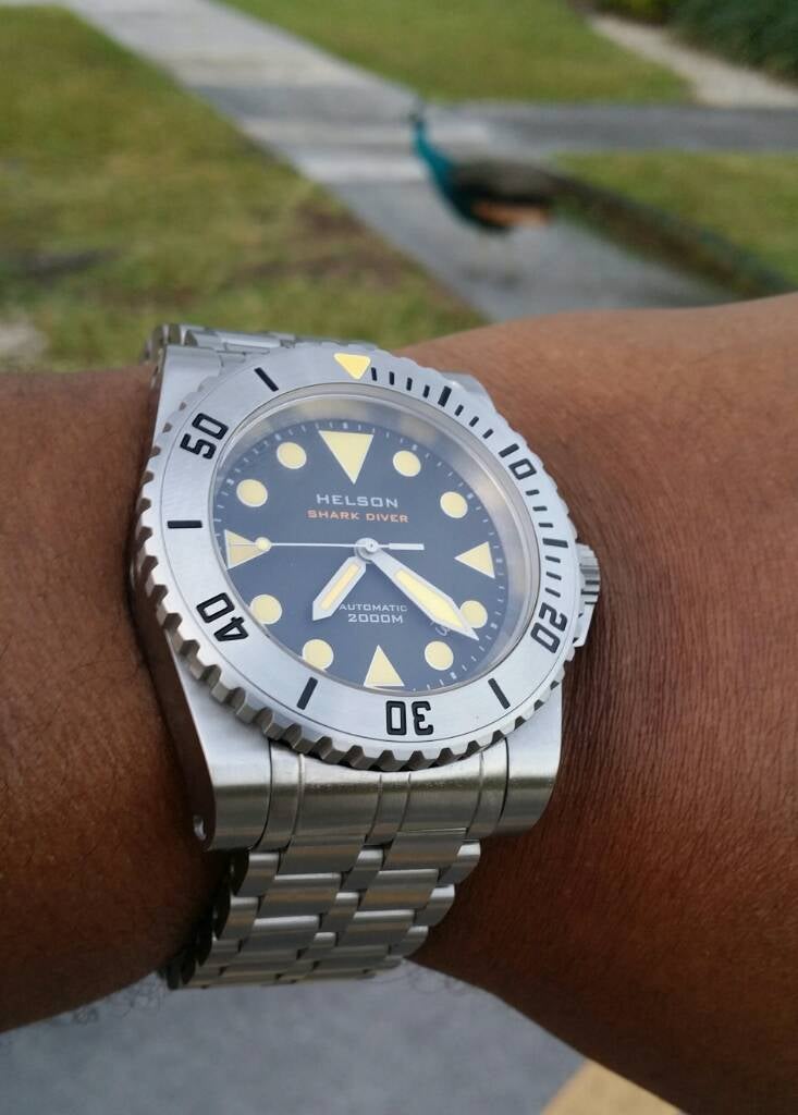 helson shark diver - show us yours | Page 22 | WatchUSeek Watch Forums