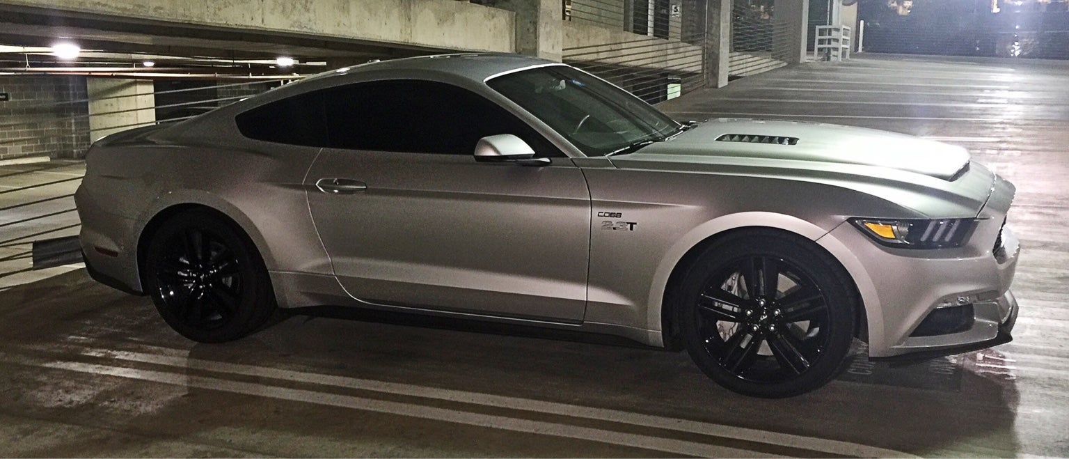 Window tint | Ford Mustang Ecoboost Forum