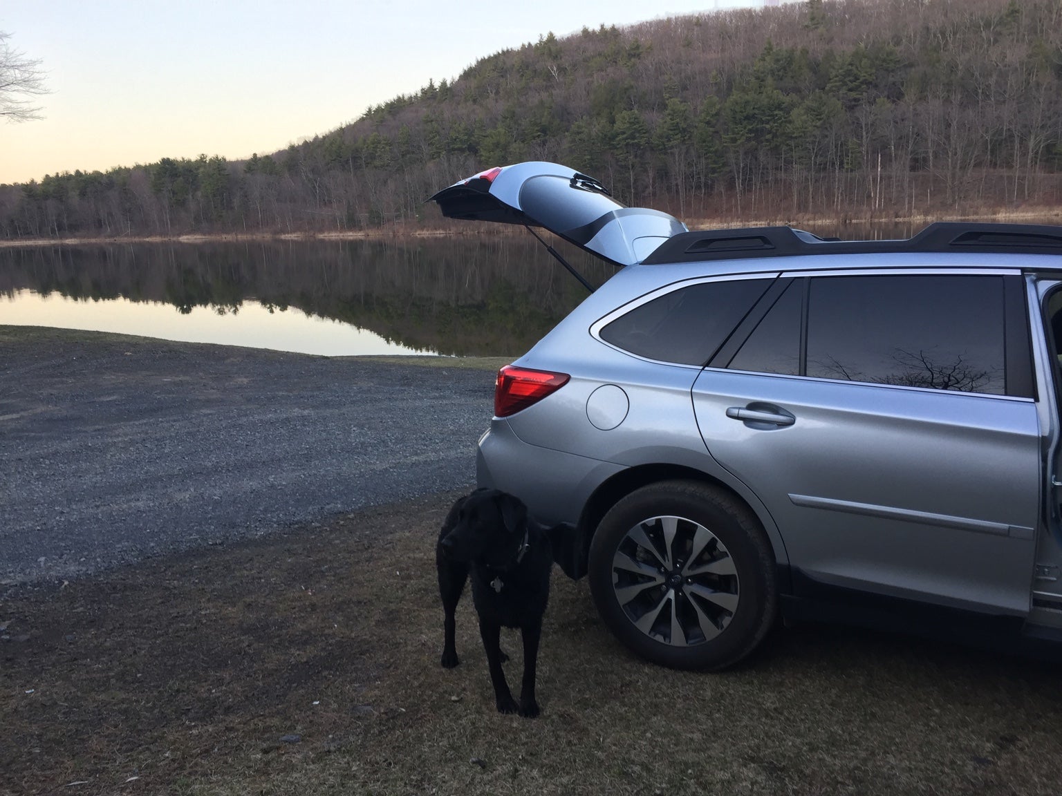 Pets in Outback | Subaru Outback Forums