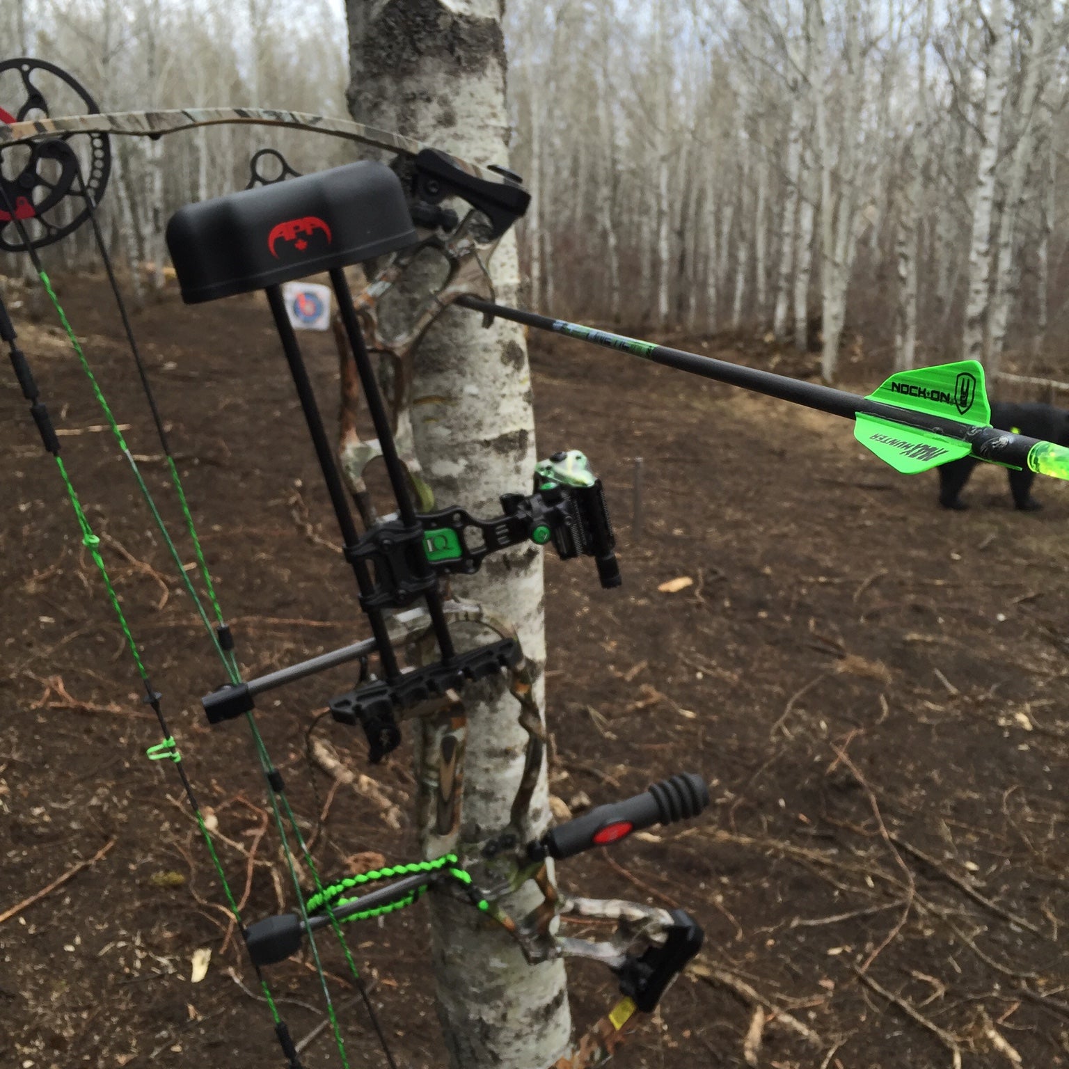 lets see your APA bows!! | Page 3 | Archery Talk Forum