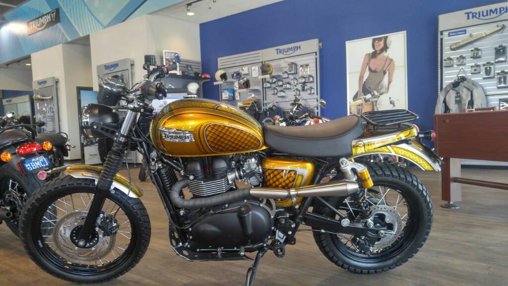 Photos of Custom Paint | Triumph Rat Motorcycle Forums