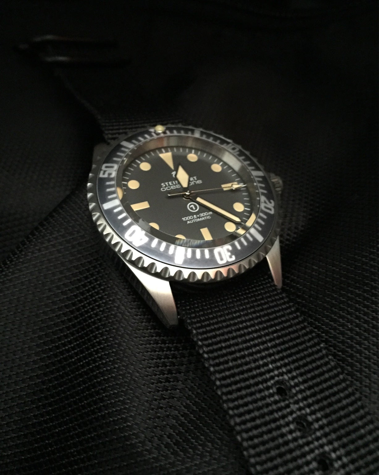 DIY Ghost Bezel | Page 6 | WatchUSeek Watch Forums