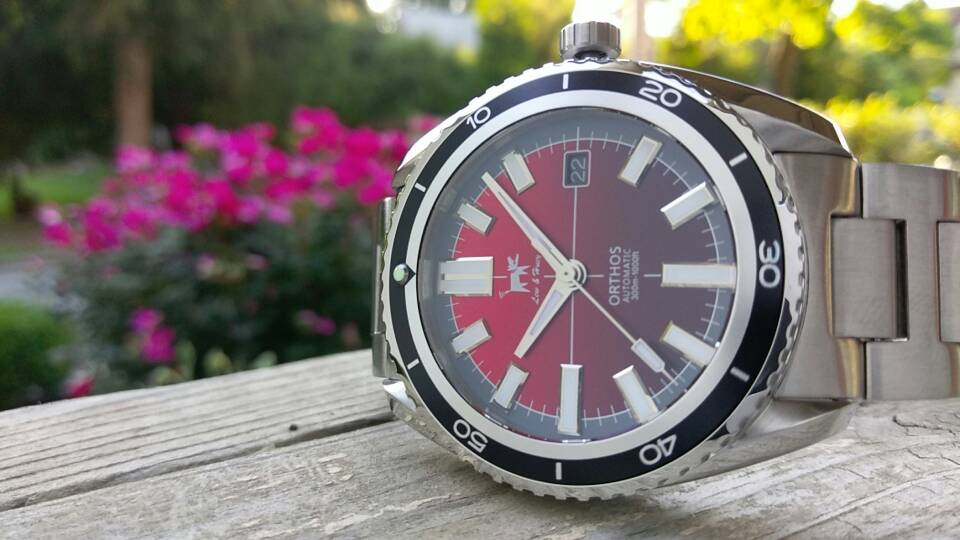 Favorite red faced watches | WatchUSeek Watch Forums