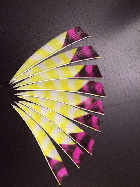 Let's see your fletchings! | Page 6 | Archery Talk Forum