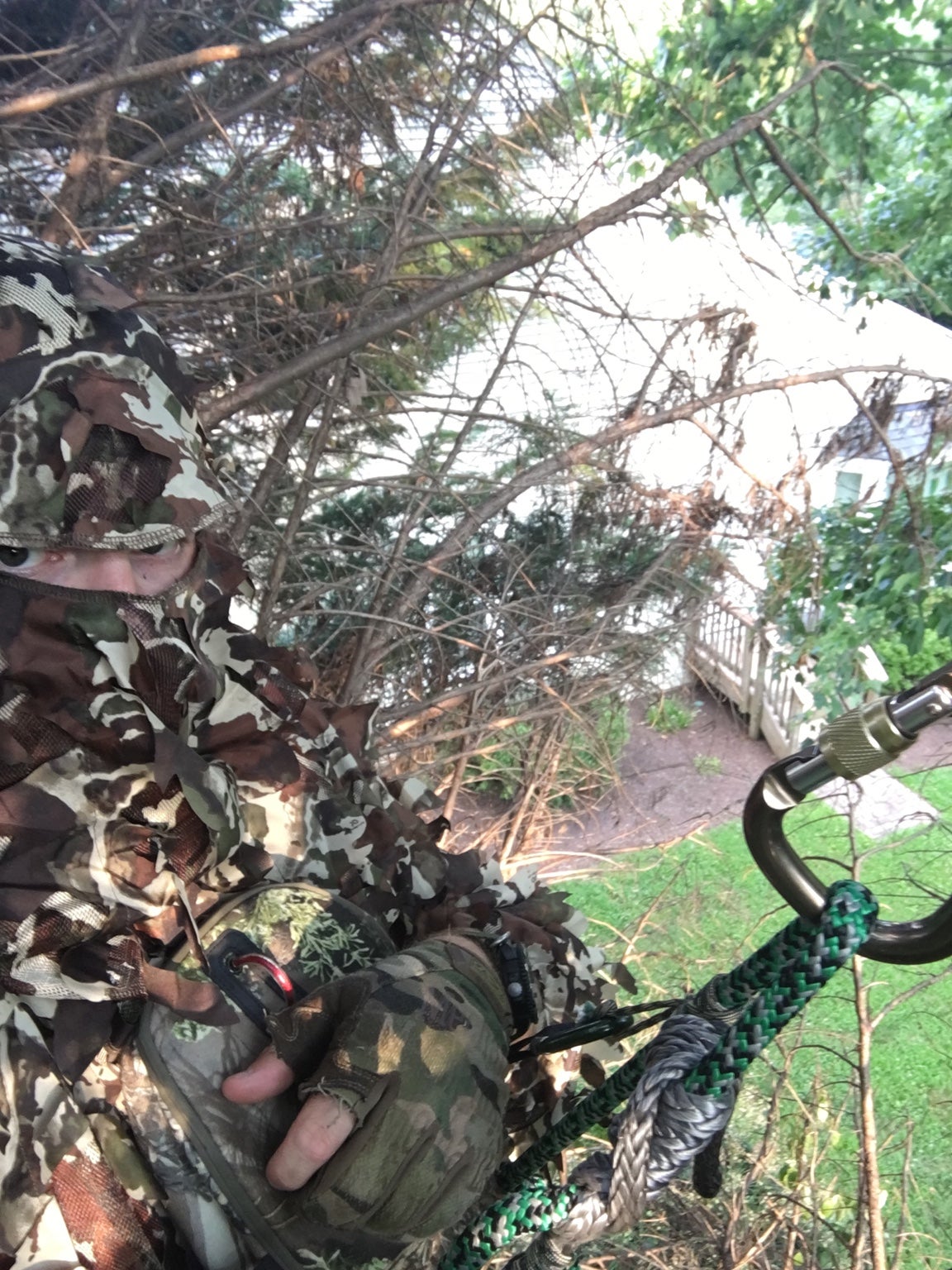 First Lite Phantom 3D | Archery Talk Forum