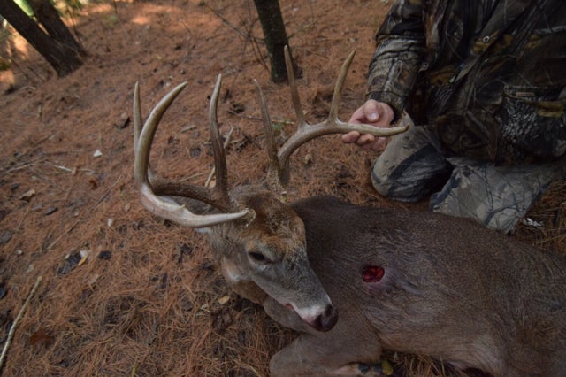 Let's see some rage hypodermic wounds and thoughts of them | Archery ...