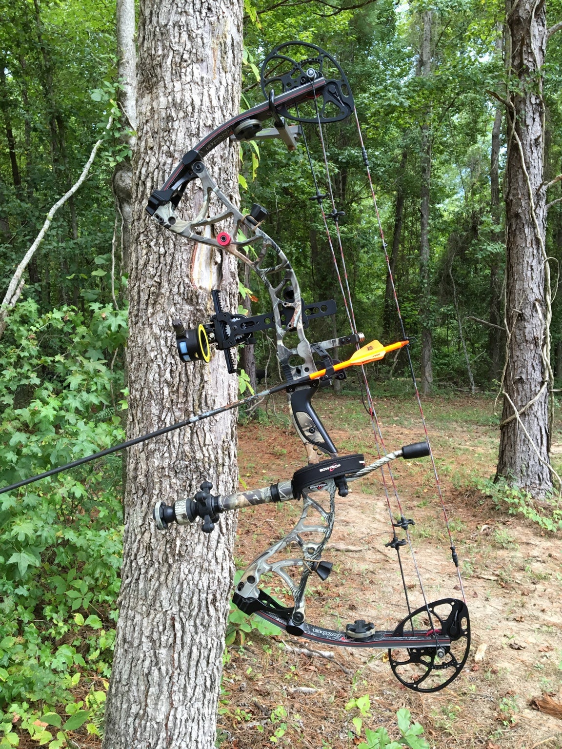 Let's see some Bowtech Rigs! | Page 3 | Archery Talk Forum