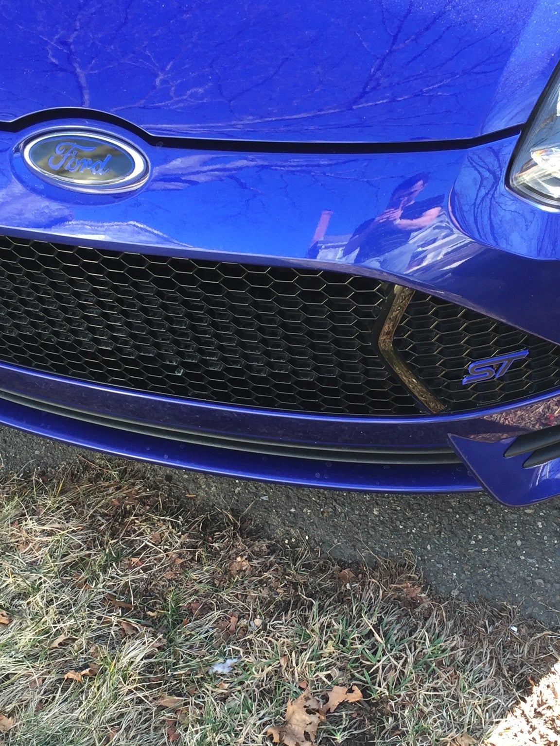 Emblem overlays | Ford Focus ST Forum