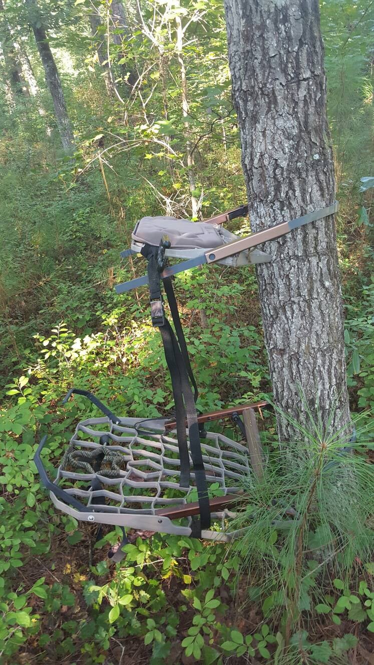 Lone Wolf Mods.... Yup again | Archery Talk Forum