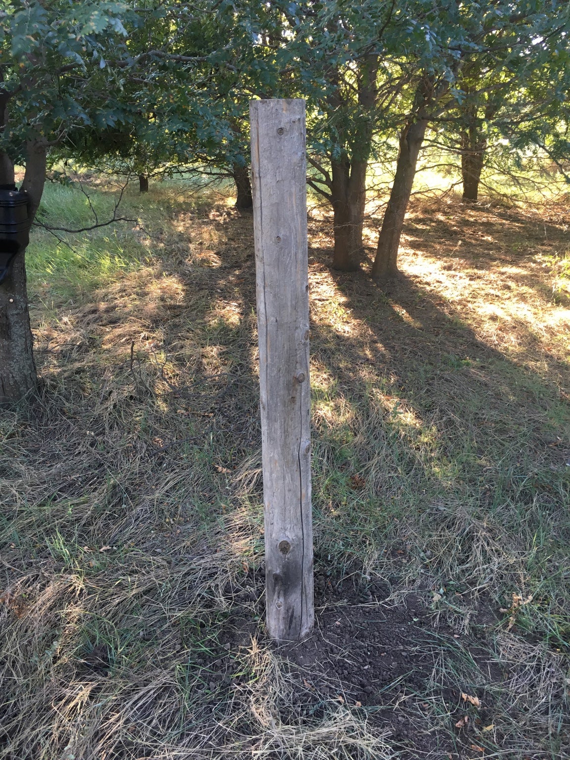 Building a scrape tree... | Archery Talk Forum