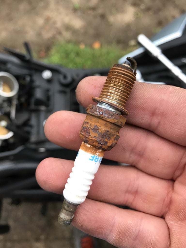 Rusty spark plugs ?! | Adventure Rider