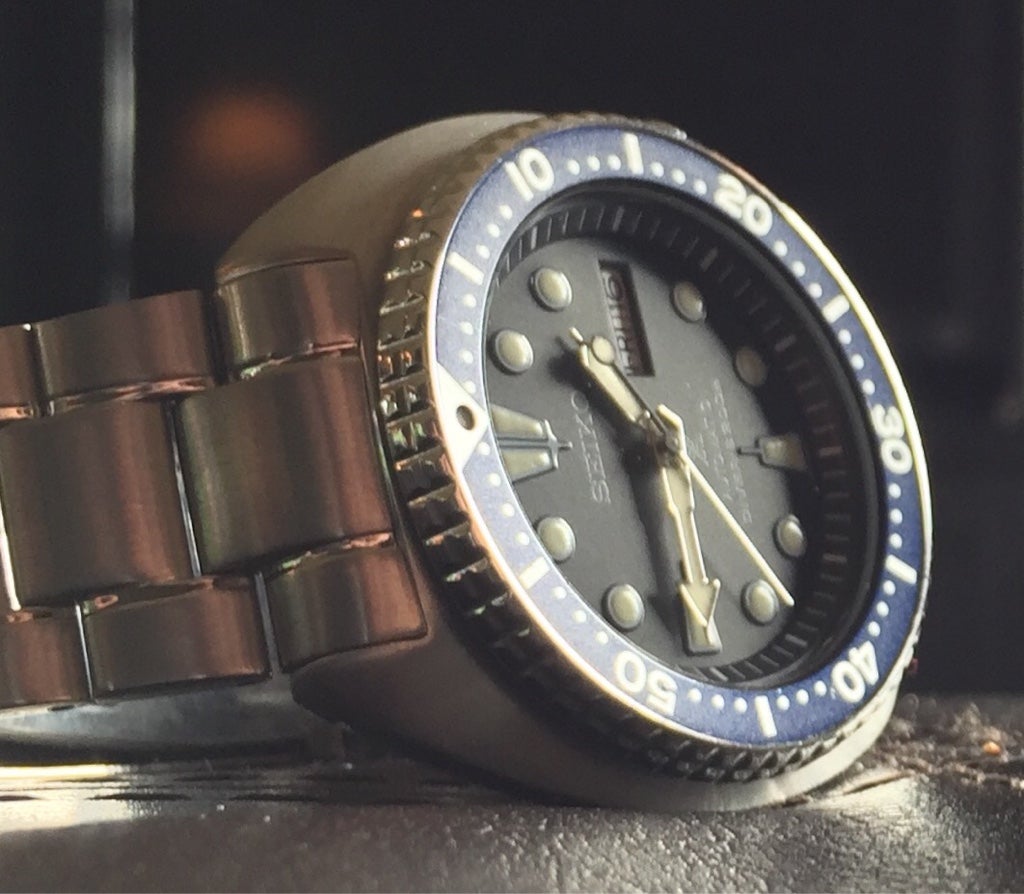 Turtle vs Sumo | WatchUSeek Watch Forums