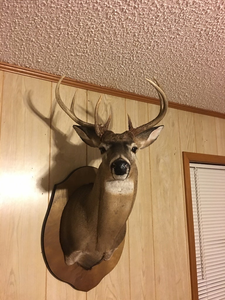 Florida State Record Buck | Pensacola Fishing Forum