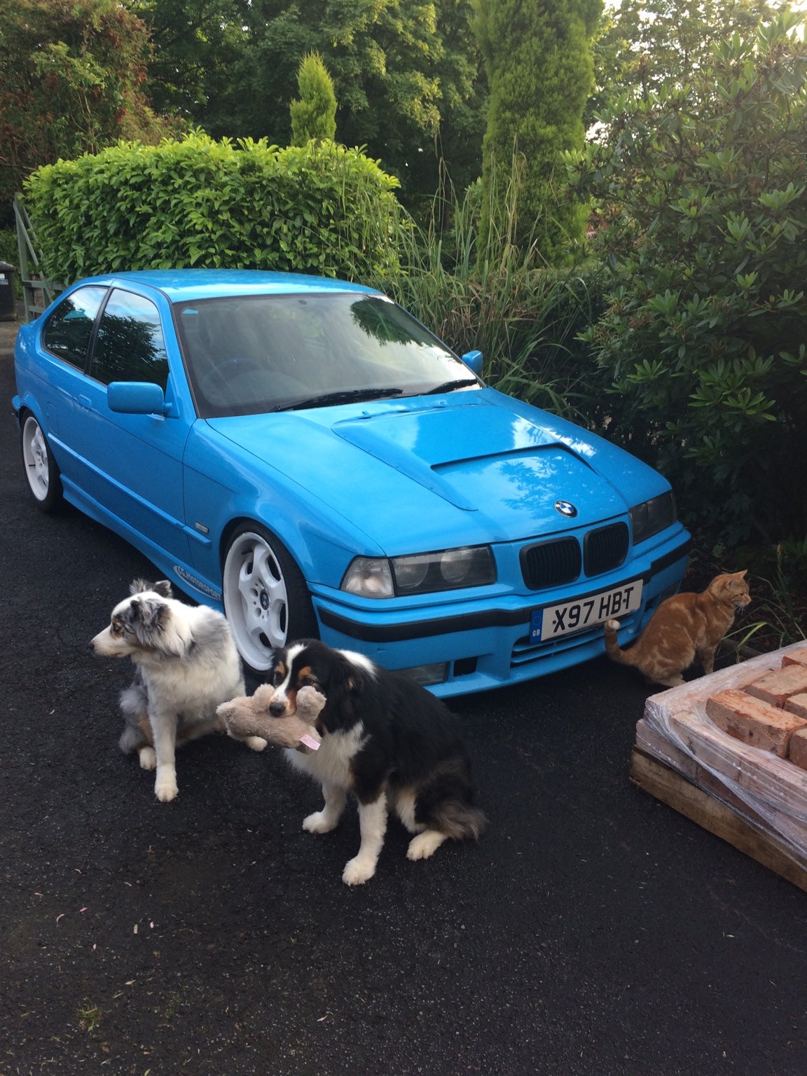E36 Wheel fitment - Compact | BMW Forums : BimmerForums
