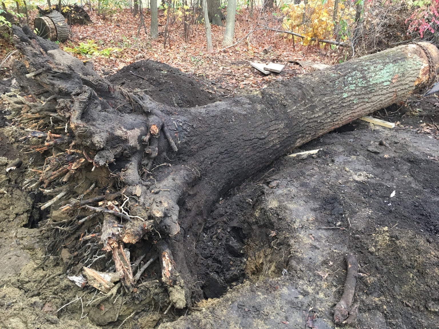 Looking to move a fallen tree | Page 2 | Green Tractor Talk