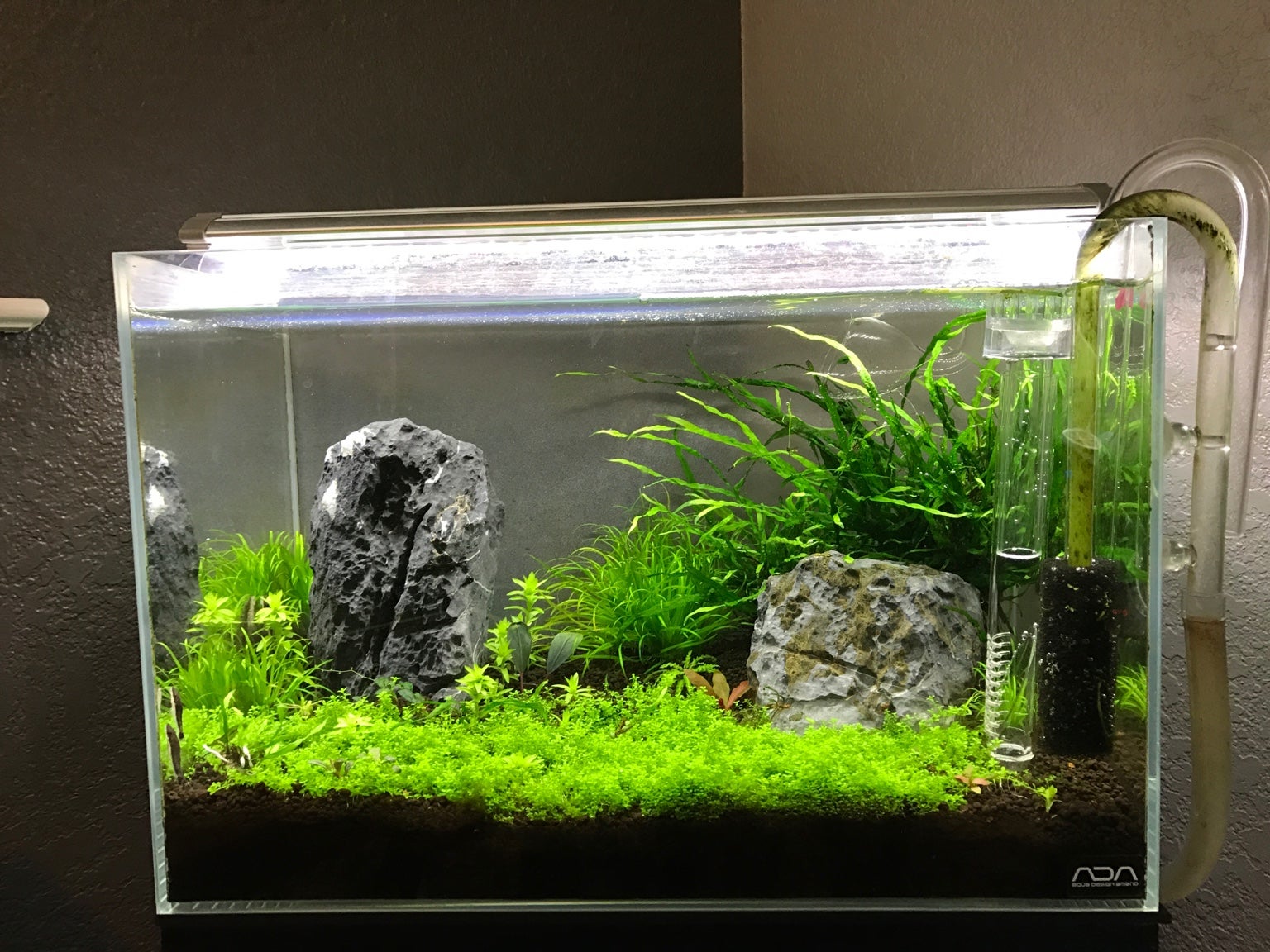 Re-Scape - 45p - mainly Buce | The Planted Tank Forum