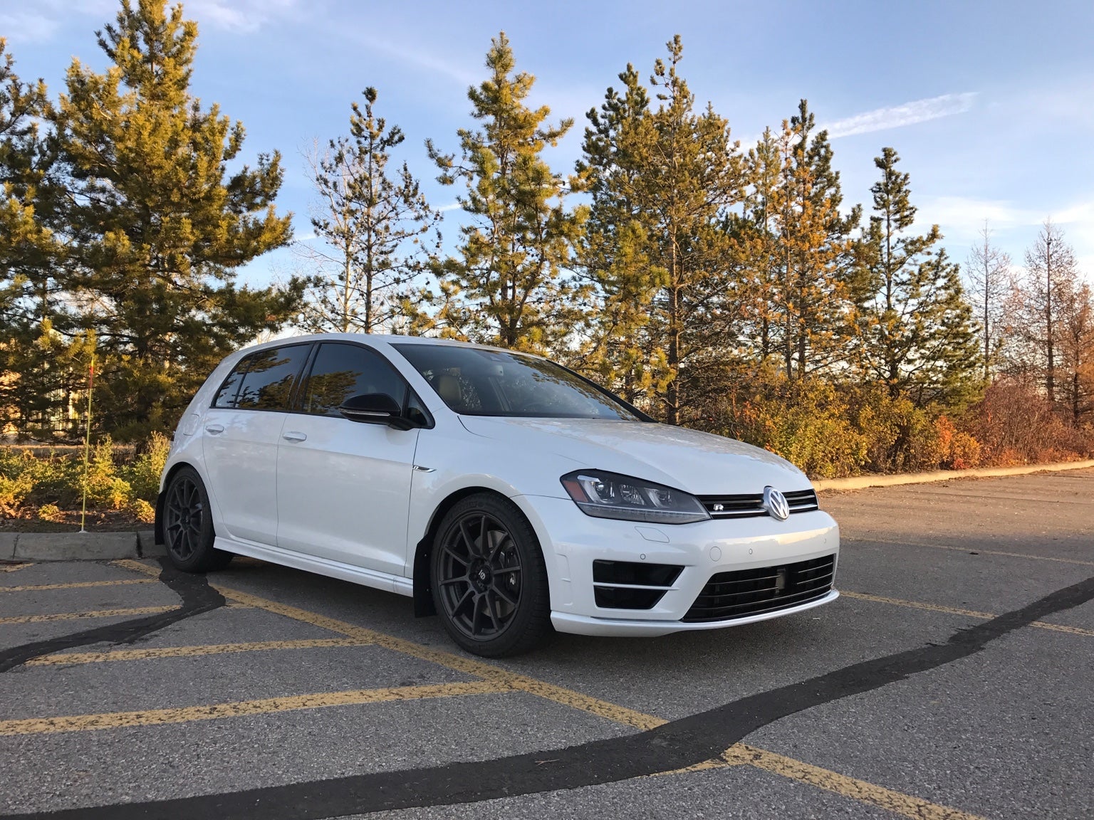 Golf R Spring Rate vs Eibach Pro-Kit Spring Rate | VW Vortex ...