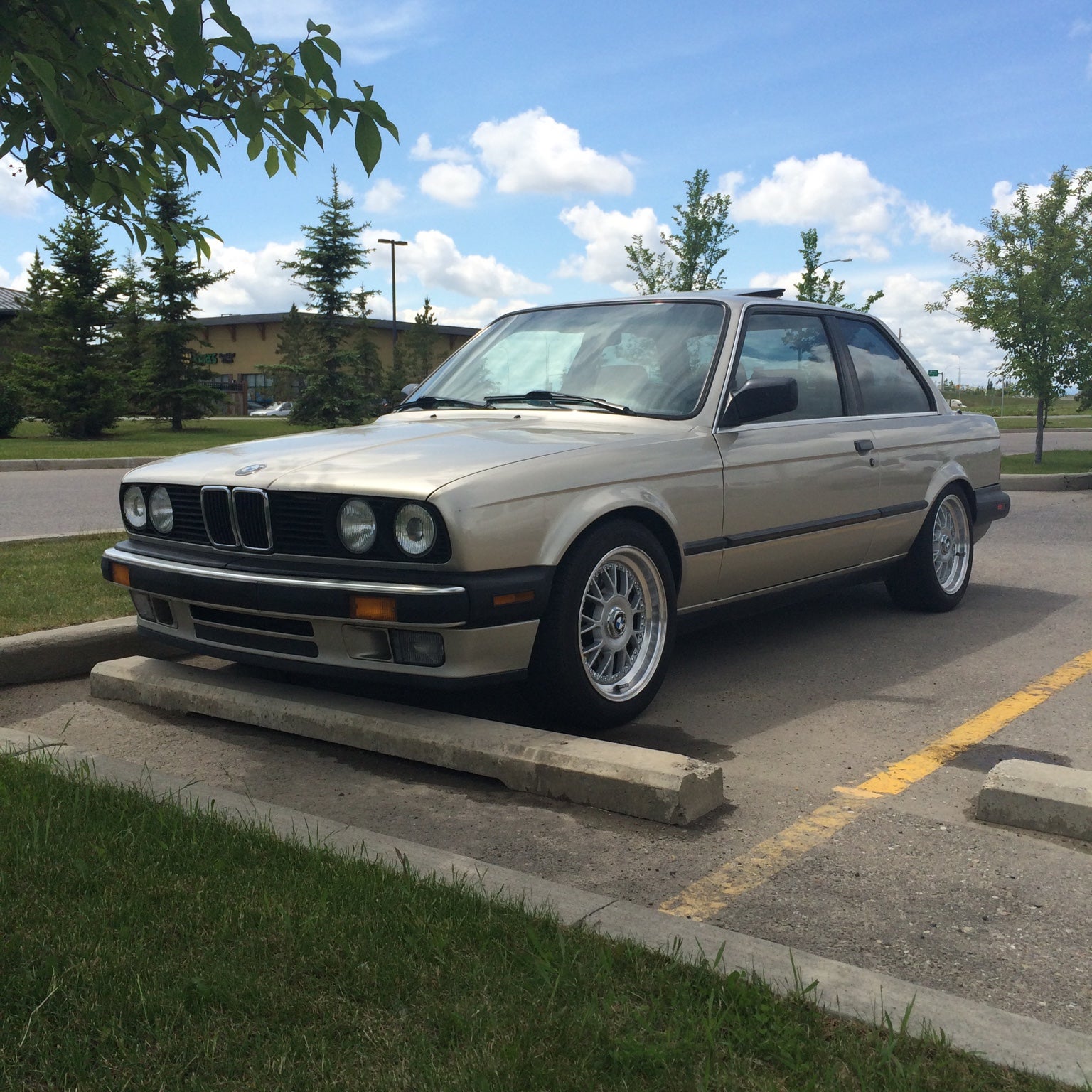 '80s/newer cars where you can tell the EXACT model year just by looking ...