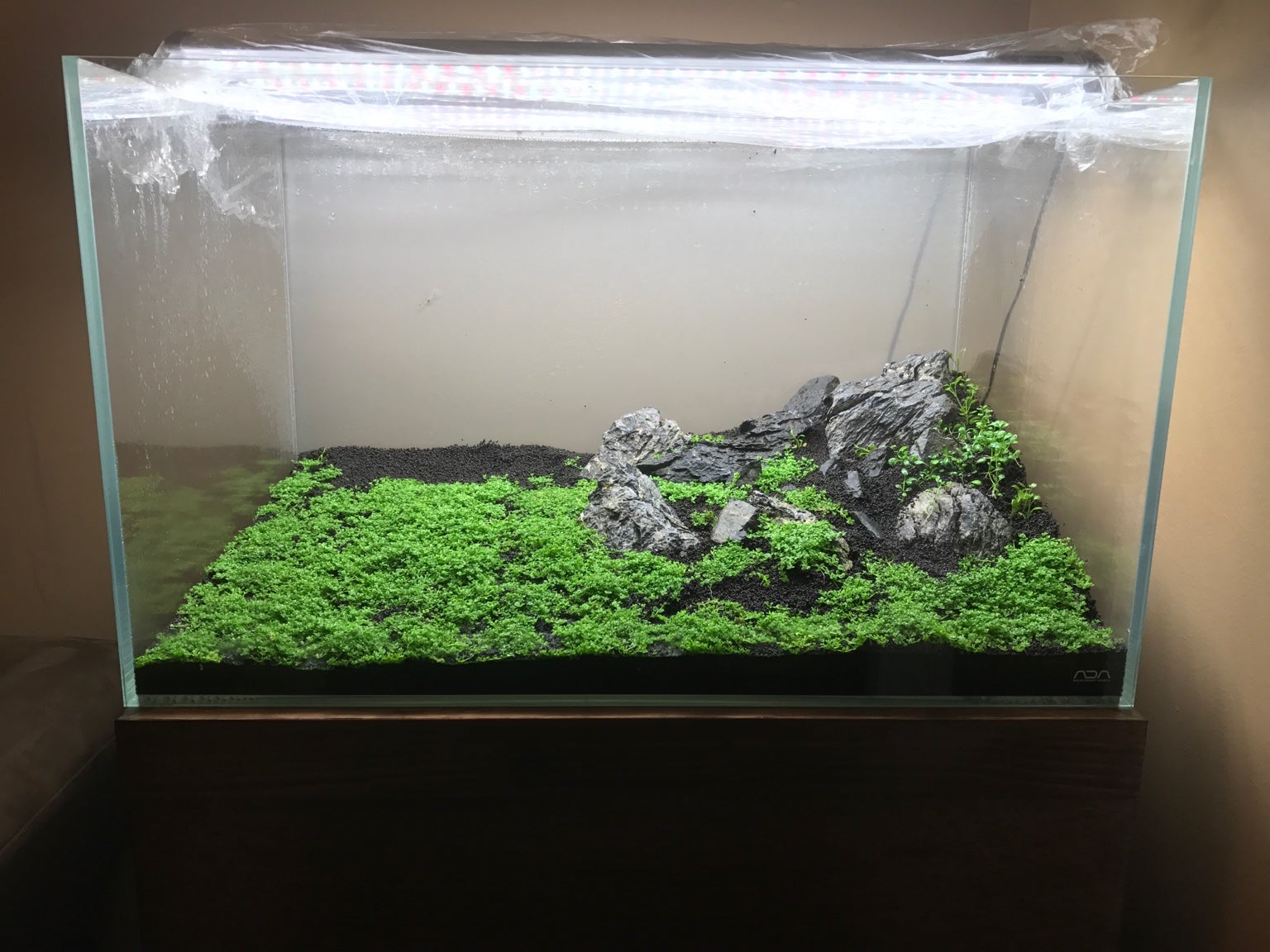 ADA 75p drystart journal | The Planted Tank Forum