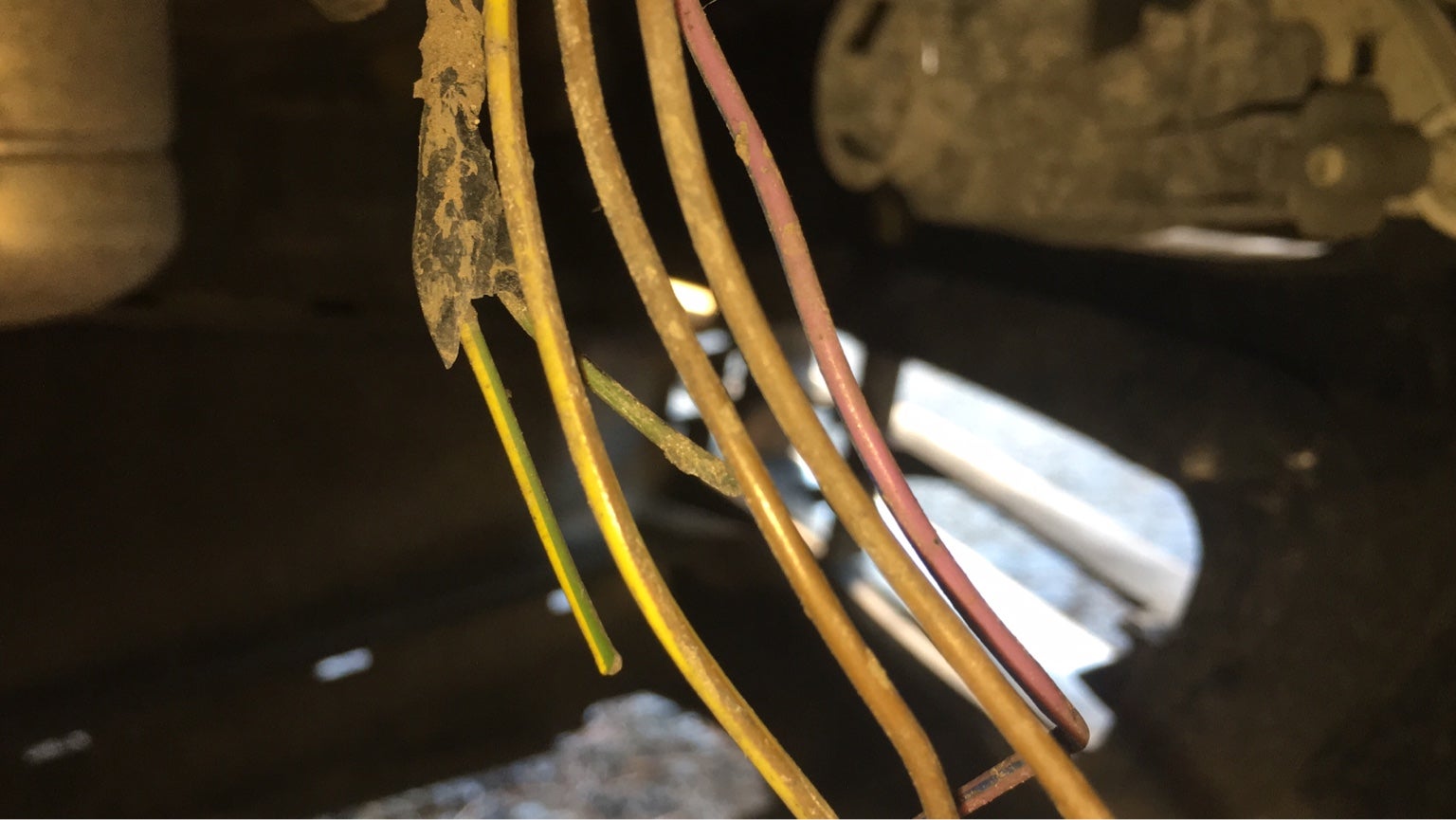 Wire identification help | E46 Fanatics Forum