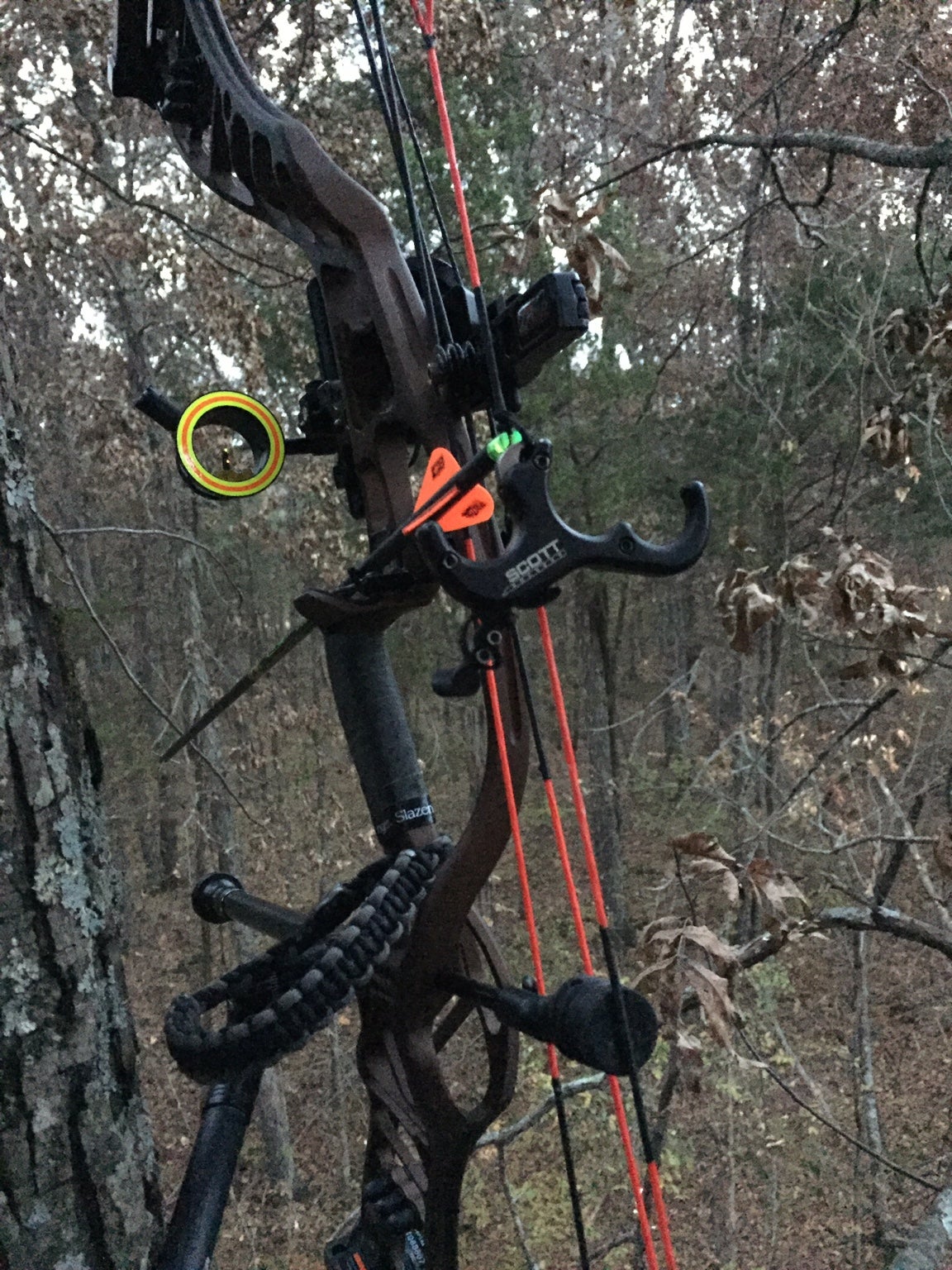 Harvest Brown: Why Did Hoyt Drop this Color? | Page 2 | Archery Talk Forum