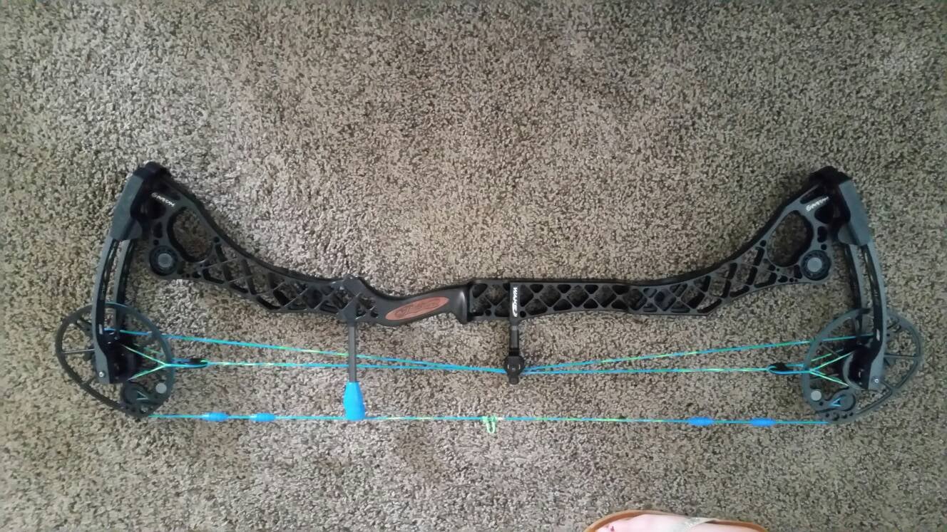 String Colors for Black Bow | Archery Talk Forum