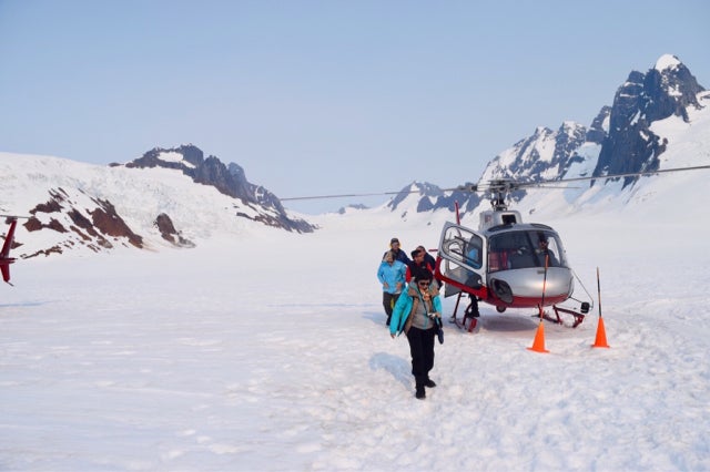 Poodles In the Iditarod | Poodle Forum