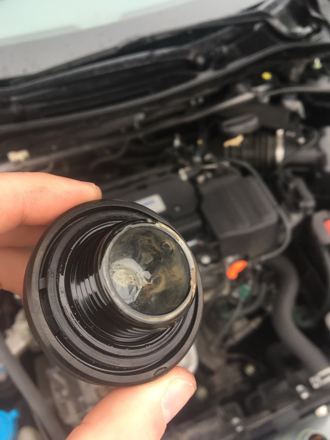Milky residue on bottom of oil cap - Thread Closed | Honda Accord ...