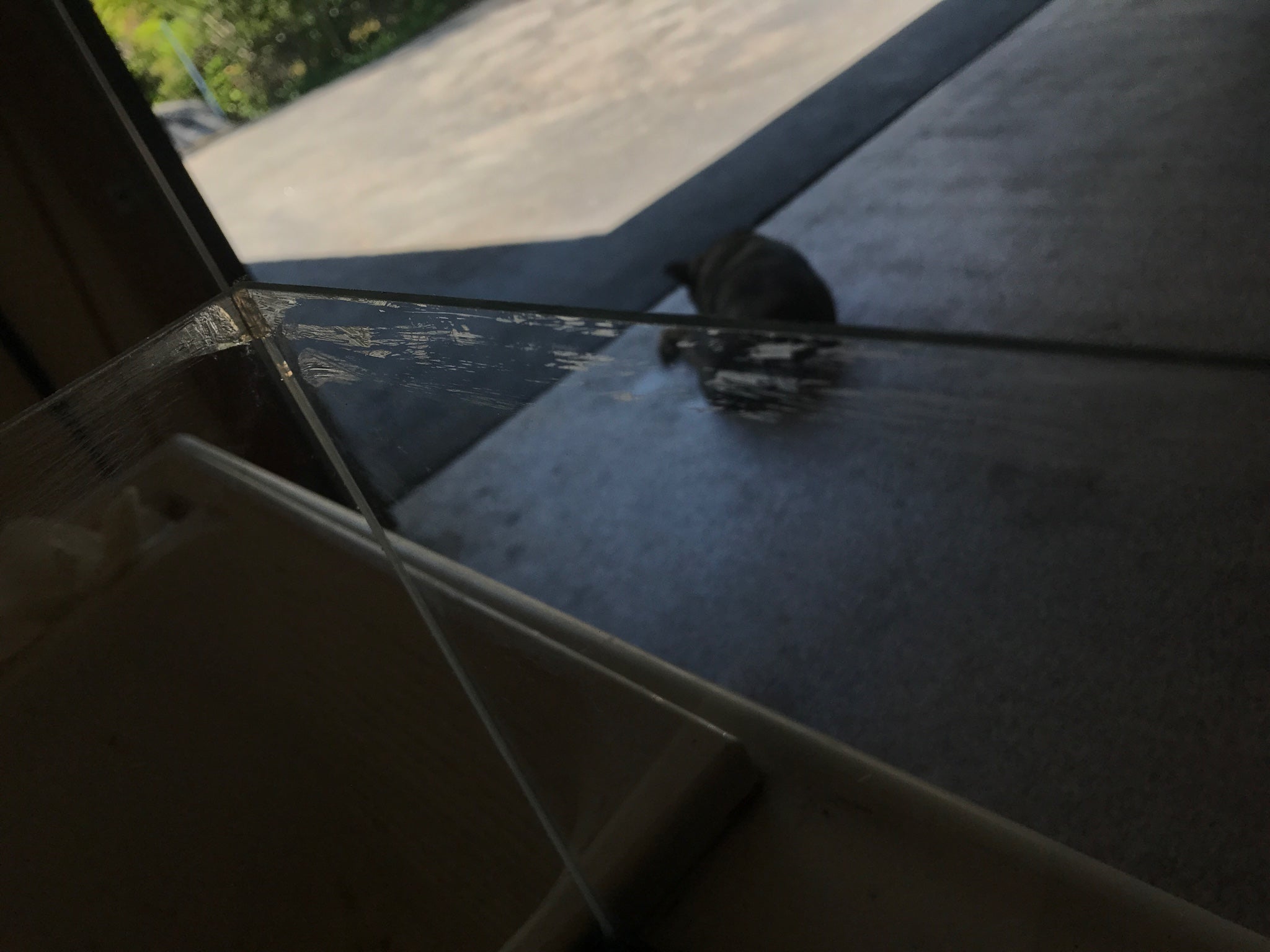 Step By Step How To: De-Rim an Aquarium *Update* how to add a lid | The ...