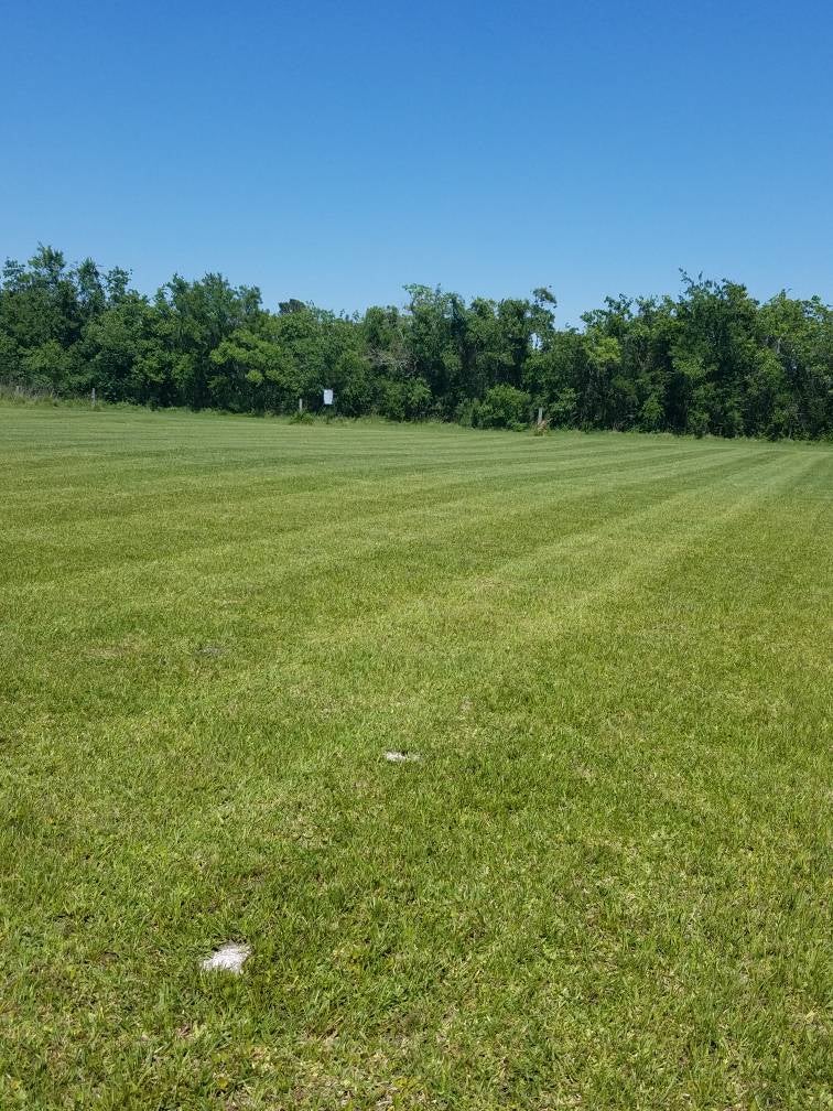 Scag stripes | DIY Home Improvement Forum