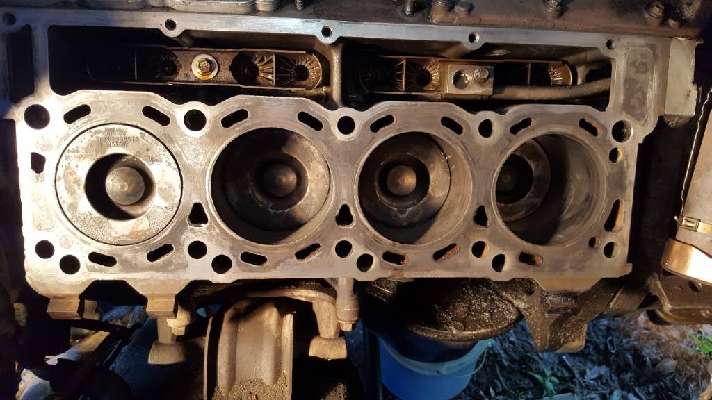 Intake valves pitted w/ blown heads | Ford Powerstroke Diesel Forum