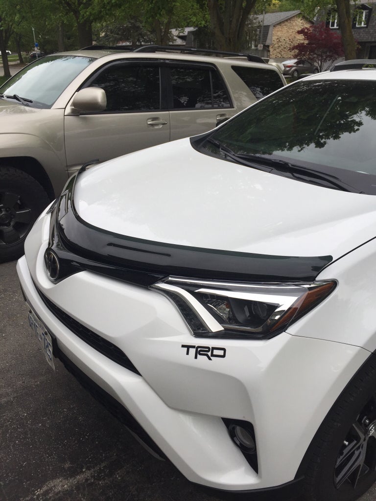 Bug guard/deflector? | Page 11 | Toyota RAV4 Forums
