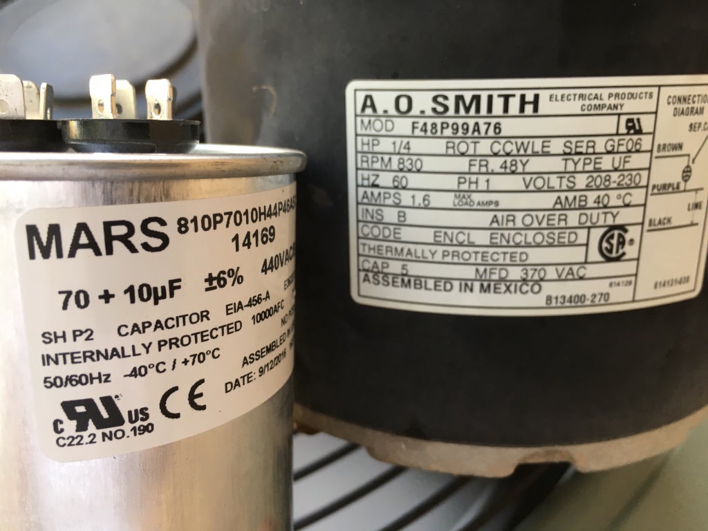 Run cap bandit sighting