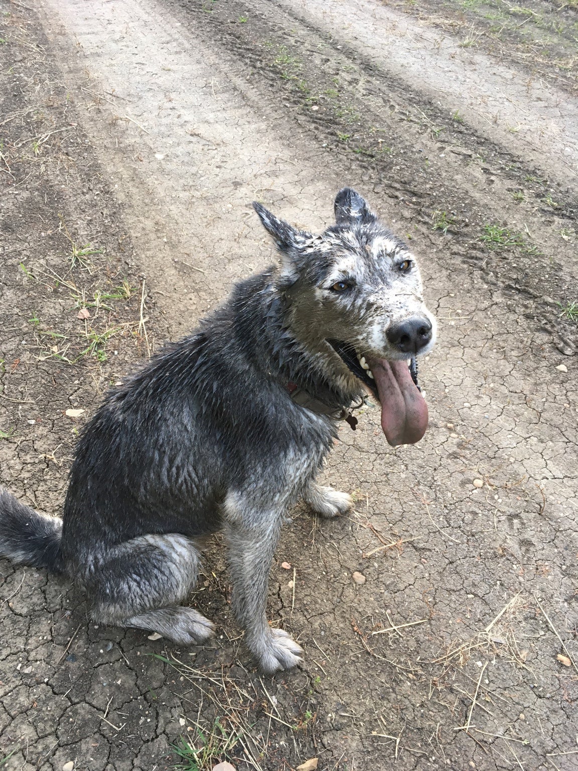 Troy's Console Covers | Can-Am Commander Forum