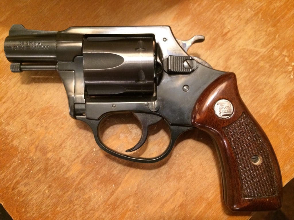 Police Bulldog .38 Special | Arkansas Hunting
