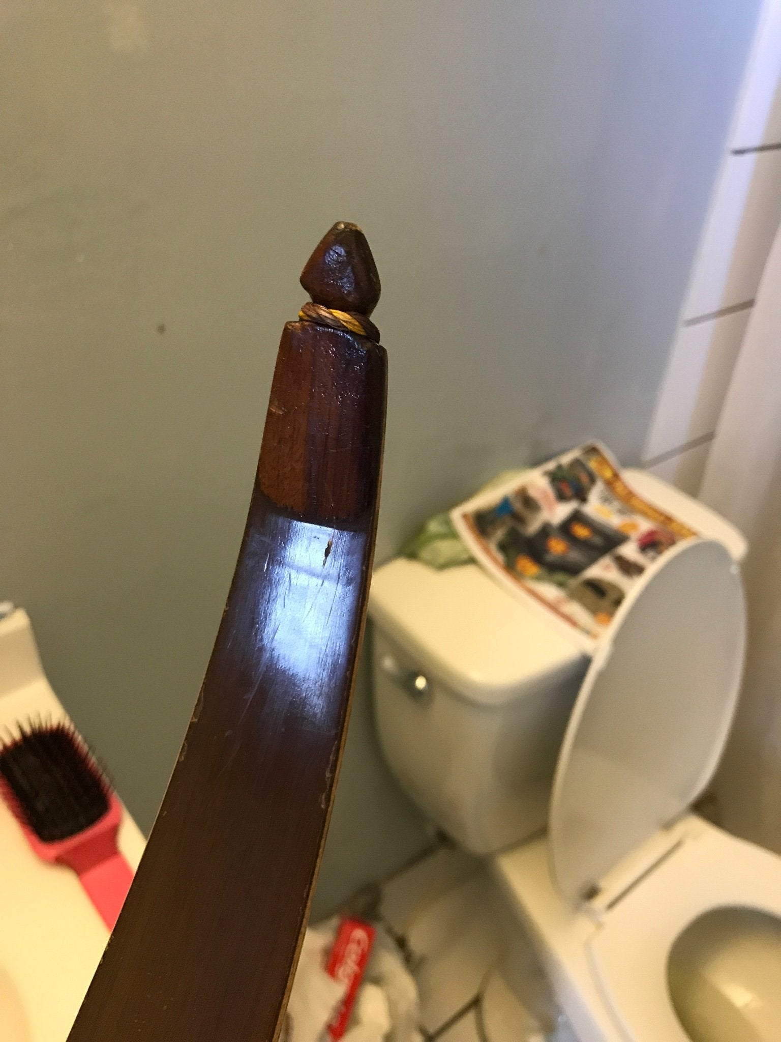 Limb tip overlay | Archery Talk Forum