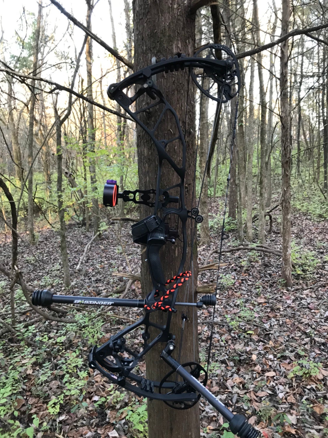 Hoyt Hyperforce Review | Archery Talk Forum